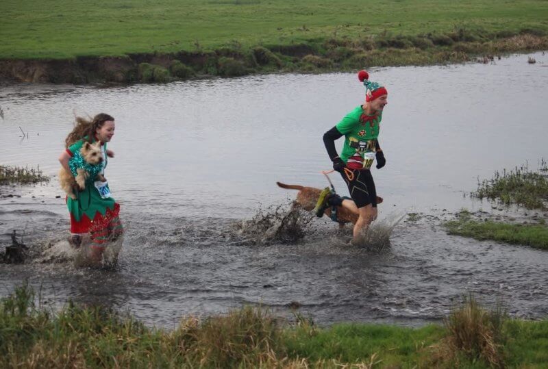 Fast Feet, Fancy Dress and Muddy Paws: The 2025 Groggy Doggy – Bungay ...